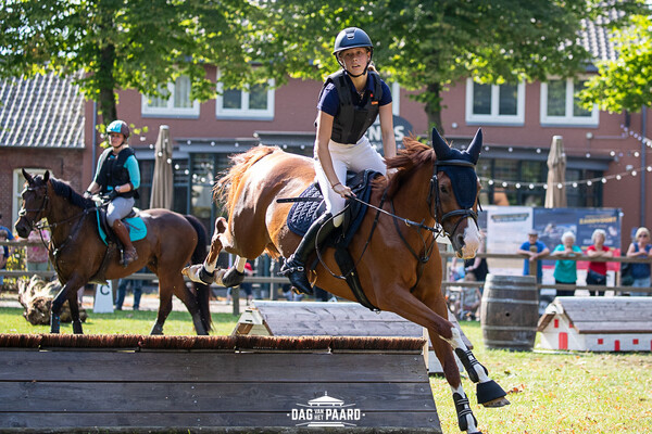 Dag van het Paard - De Bruisende Brink
