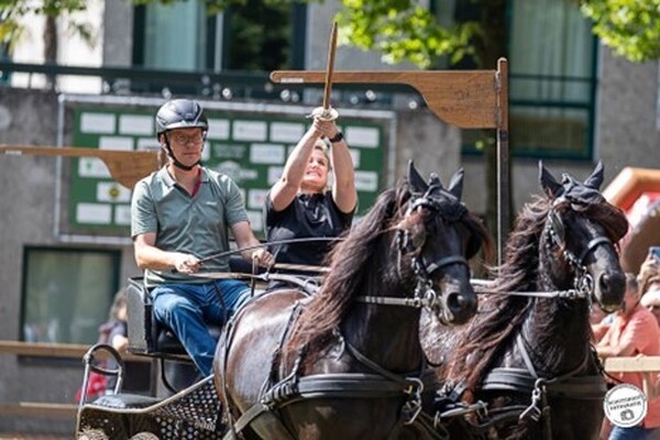 Dag van het Paard - De Bruisende Brink