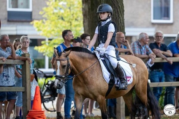 Dag van het Paard - De Bruisende Brink